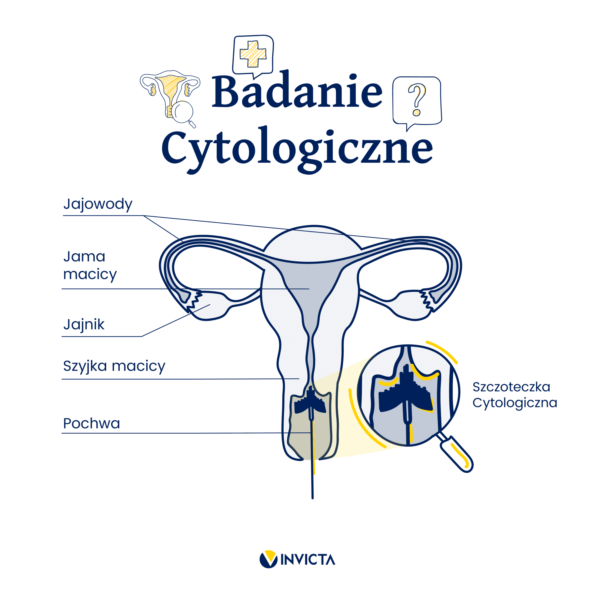 Cytologia płynna (LBC) – jak się przygotować i kiedy wykonywać badanie ...